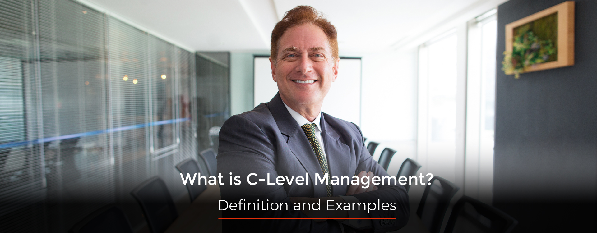 What Is C Level Management Definition And Examples